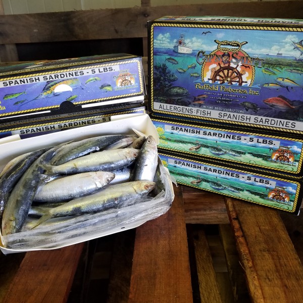 5342 – Sardines, Domestic 5lb | Aylesworth's Fish and Bait