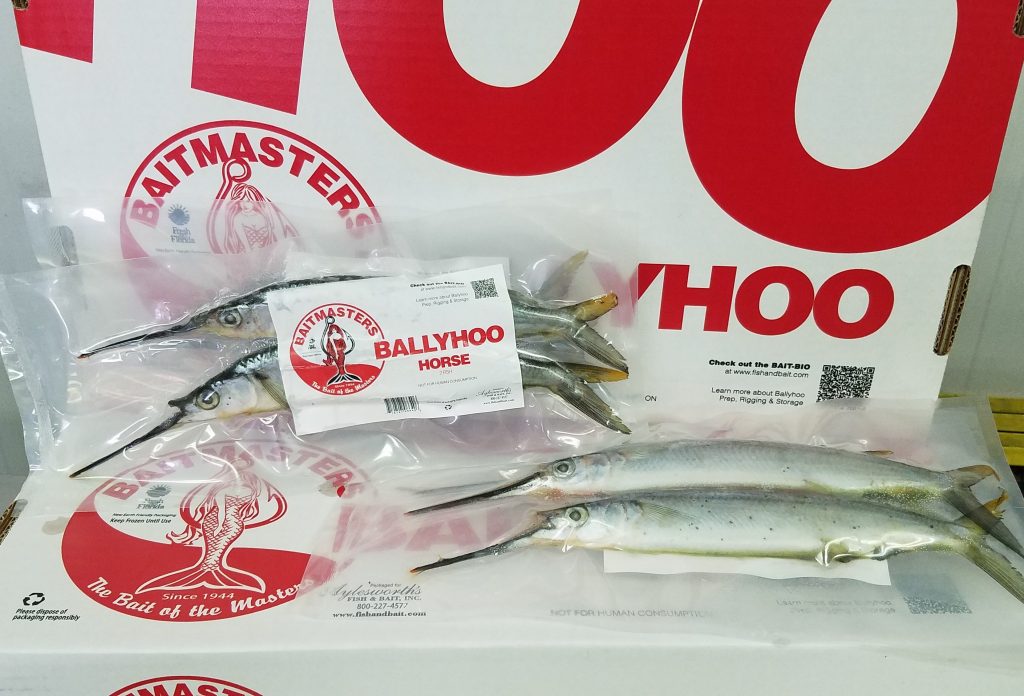 6640 – Ballyhoo, Horse – Aylesworth's Fish and Bait